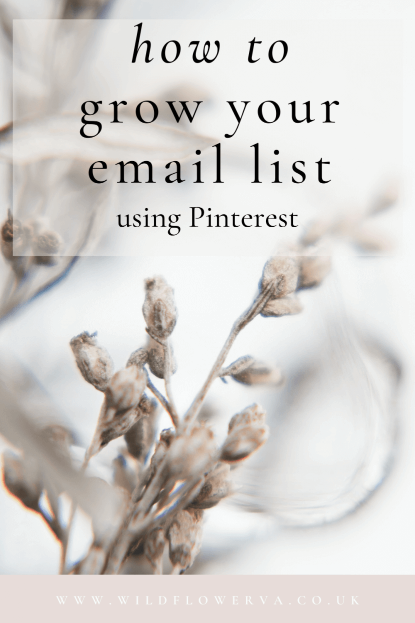 How To Use Pinterest to Grow Your Email List